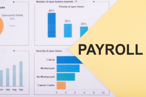 Shadow Payroll : What it is and how it is implemented